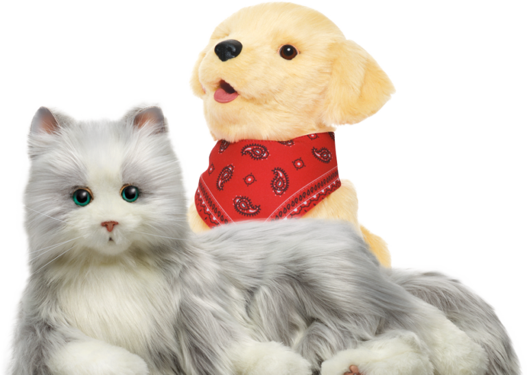 Homepage - Ageless Innovation