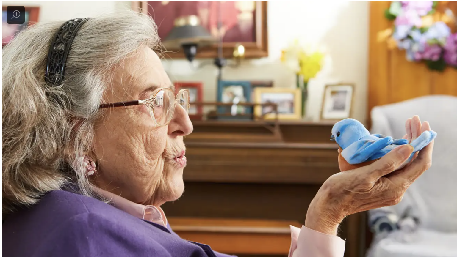 This 93-Year-Old Inventor's Robotic Companion Bird Is the Only Gadget ...